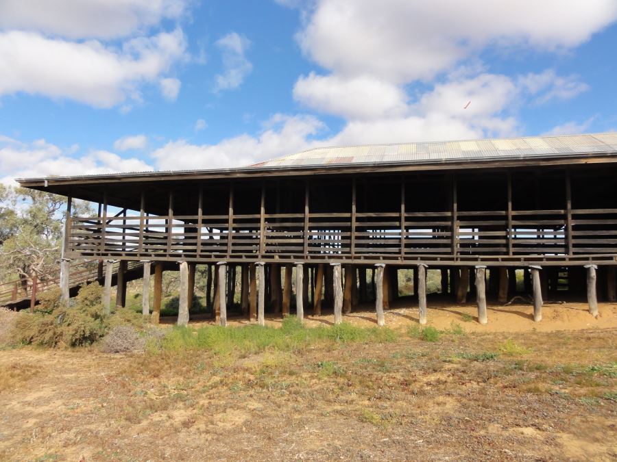 Snap Happy Birding: Scenic Sunday - Historic Woolshed, Part #1
