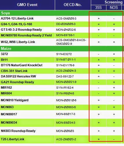 基因改造食品檢測 - NOpaline Synthase (NOS) terminator | 實驗室小小瑪莉亞- Lab Maria