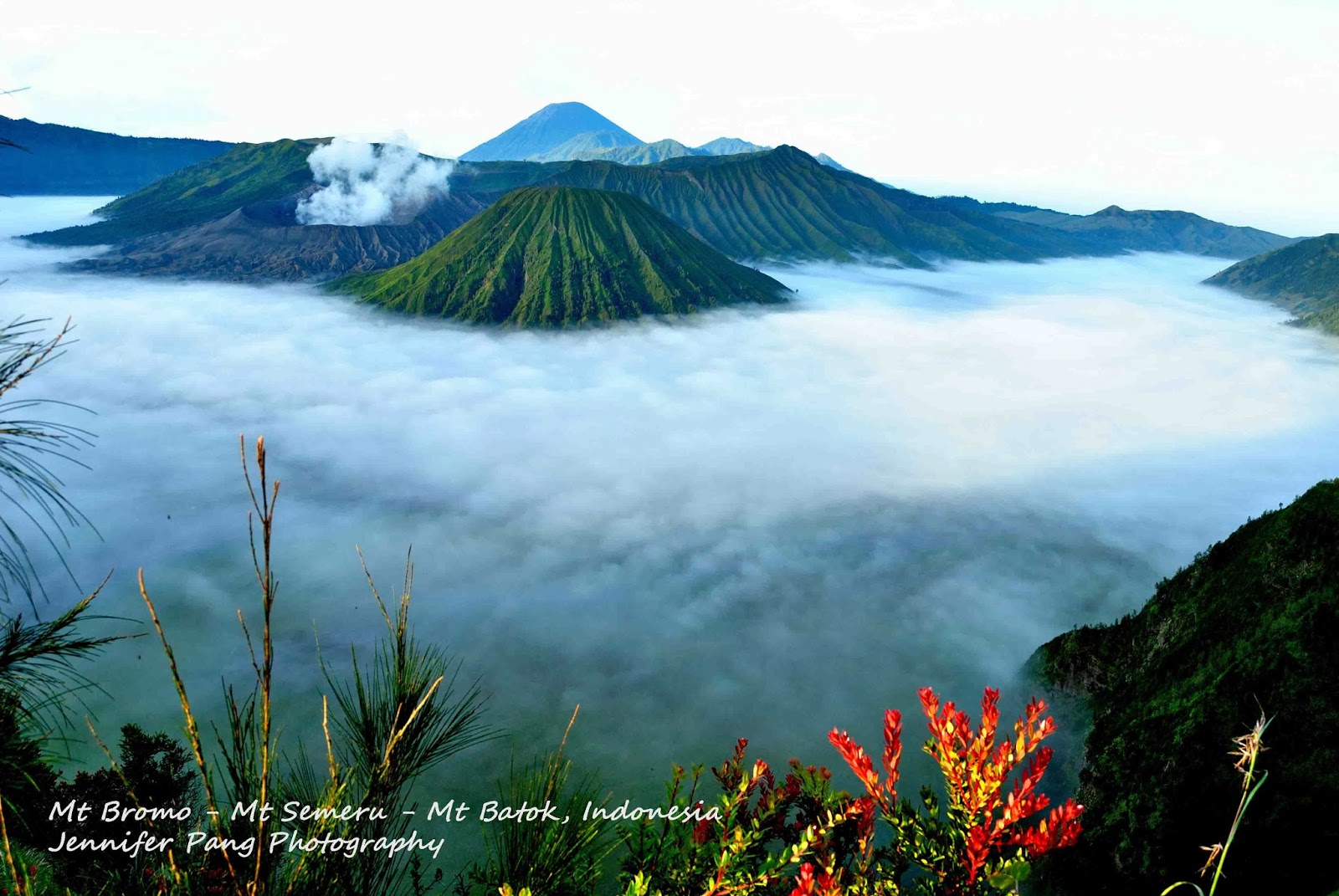 Mount Bromo & Ijen Crater, East Java: 2D1N Surabaya-Bromo-Surabaya Tour ...