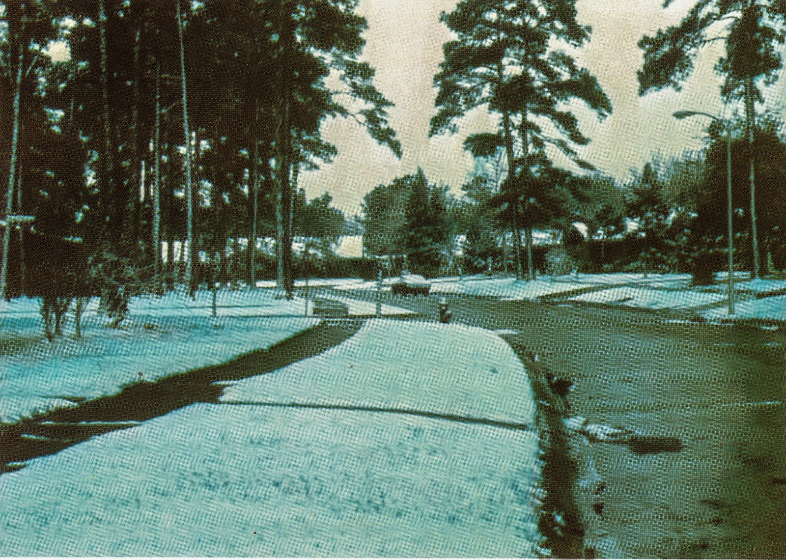 South Belt Houston Digital History Archive: 42 Years Ago Today: January ...