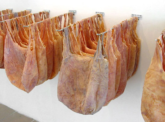 Do You Know?: Bags And Shoes Made Of Human Skin!