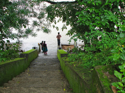 jaisiri: Shimoga Diary ... Frolicking Fish @ Chibbalagudde