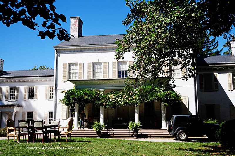 Little Red House: Mosaic Monday: Morven