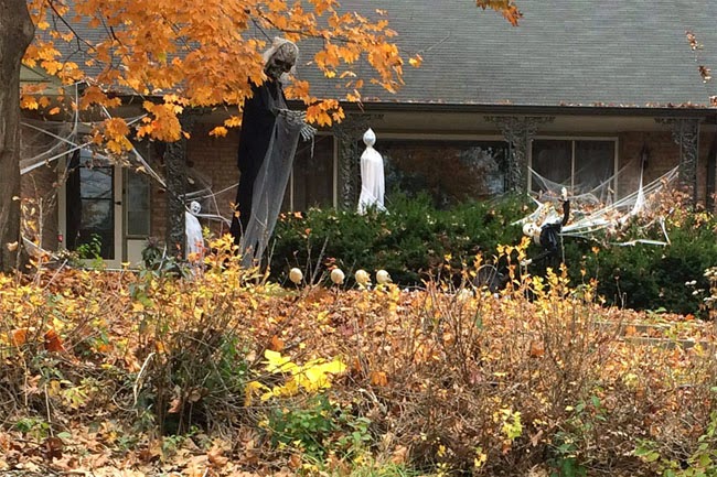 Andree's Illustration: A Scary Neighborhood