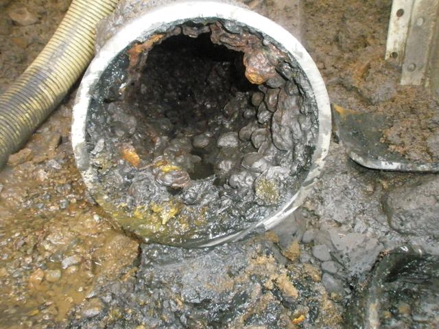 Sustaining the Earth's Source of LIFE......: Prolonging the Life of our ...