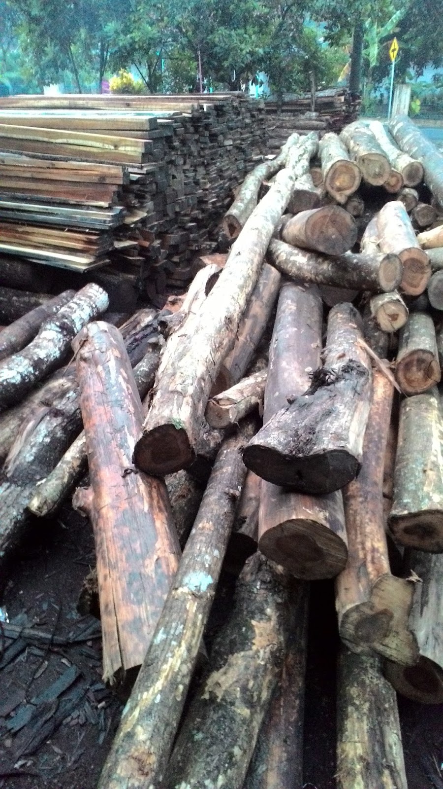 HJD Kayu Jati Sortimen A I - DUTA RIMBA INDONESIA