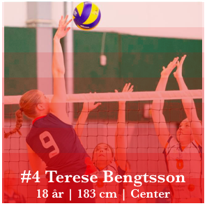 volleyball vagabond: August 2015