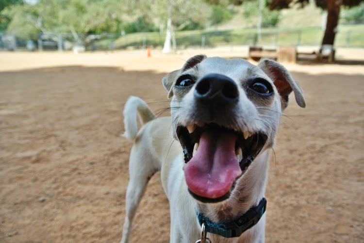 Ahhhh Friday! — HAPPYHAZEL