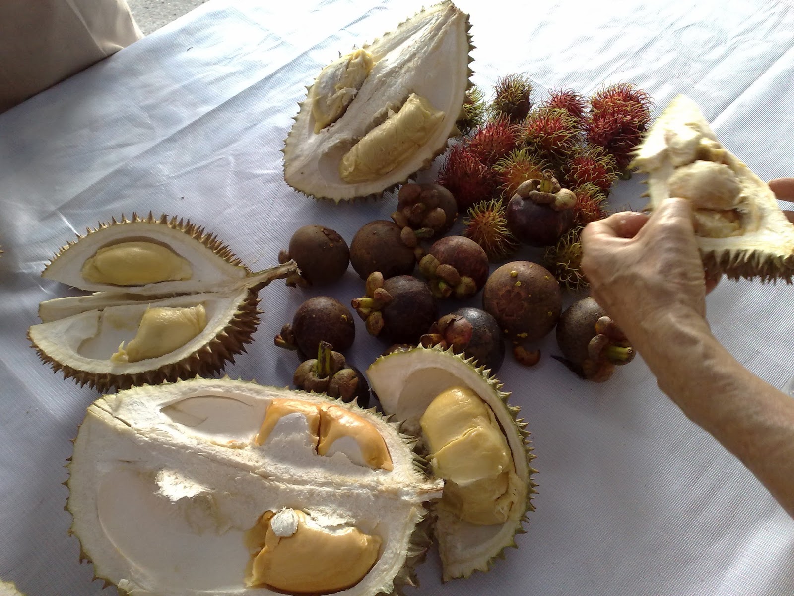 Durian Info: Eat Durian For Charity