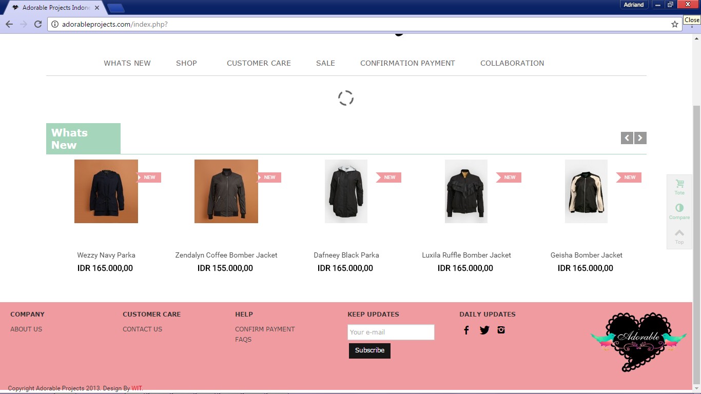 Analisa Tampilan pada Website AdorableProjects