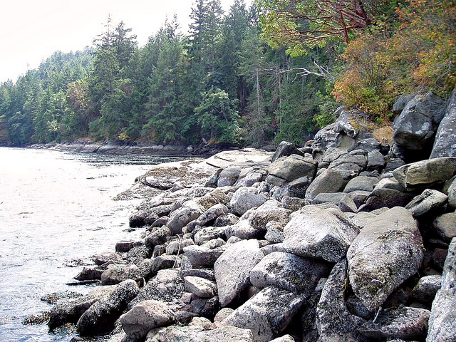 Everything Nanaimo: DODD NARROWS