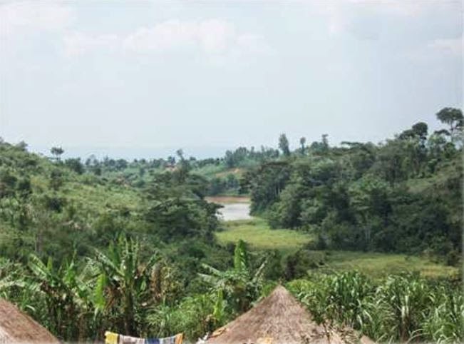 Nous les Black & White ou Nous les Nègres Blancs: 13 A - Mongbwalu suite