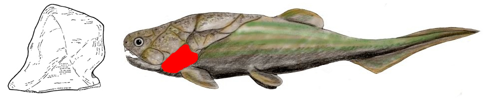 LAND OF THE DEAD: ONE HELL OF A PLACE TO FIND FOSSIL BONES