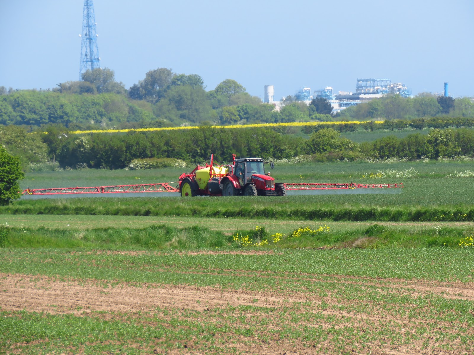 Wild at Hull: Walking the Humber. Stage 14. Skeffling Clough to Kilnsea