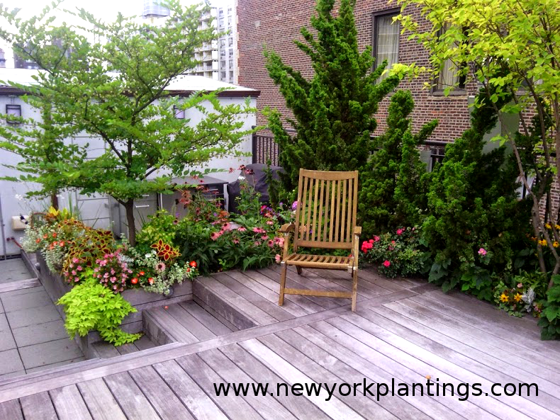 Manhattan Roof Gardeners,Custom Planters New York Plantings Garden ...