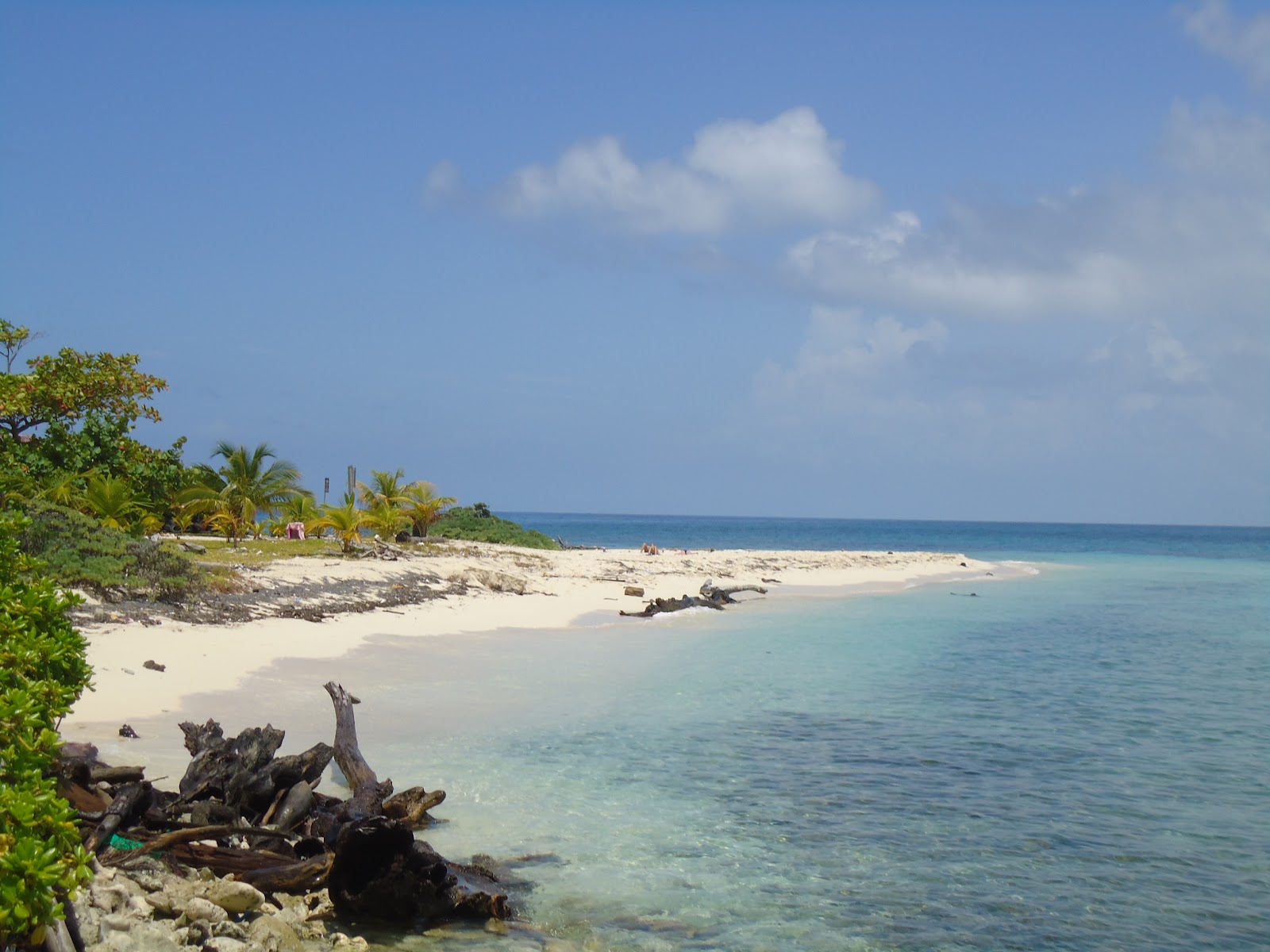 You Better Belize It!: Lime Caye: Our own private island for the weekend!