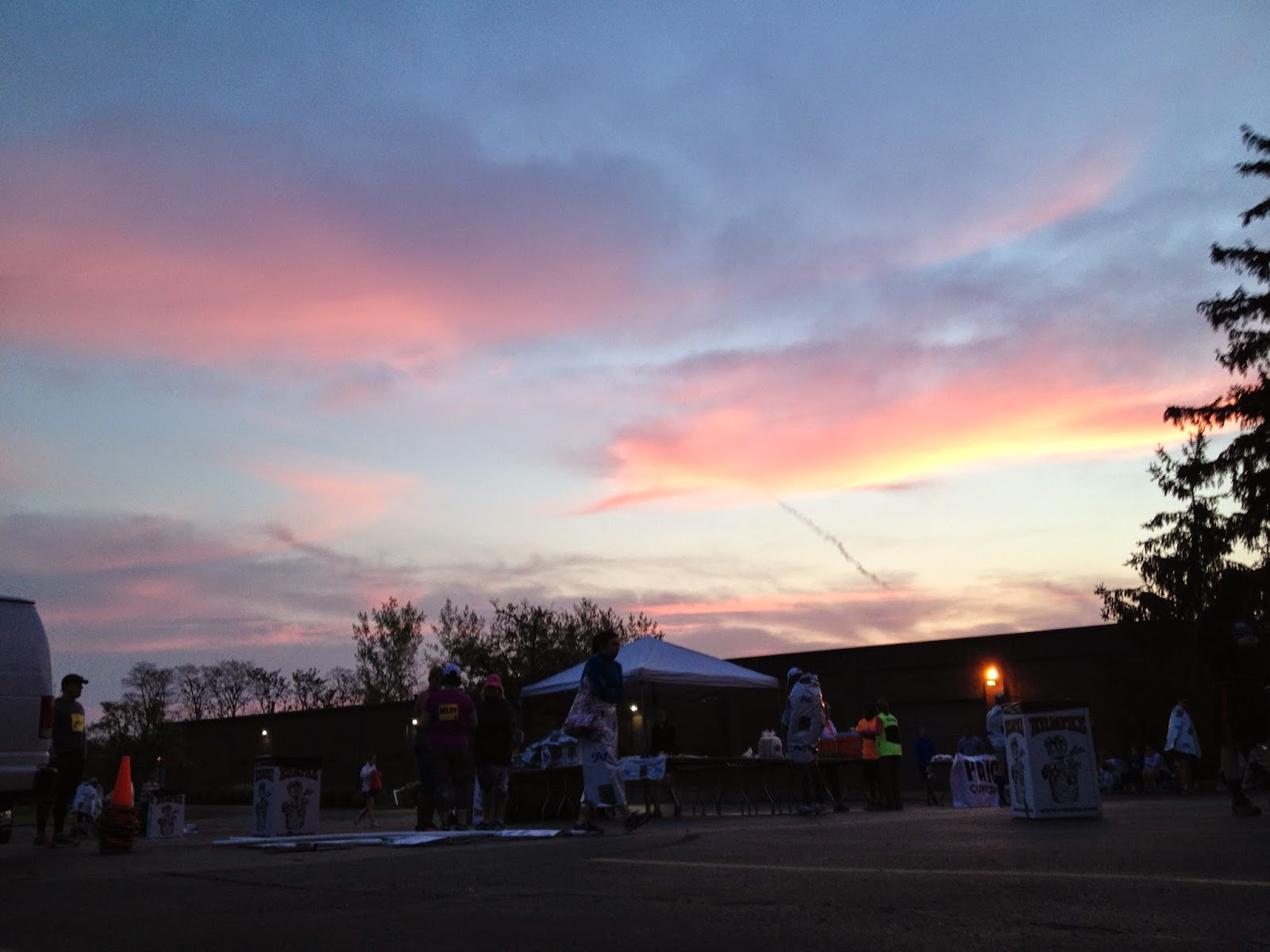 I ADVISE U: Flying Pig Marathon Relay Race Report