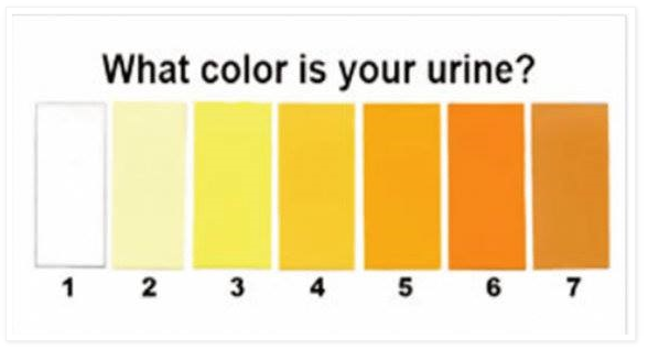 This Is What The Color Of Your Pee Has To Say About Your Health | News ...