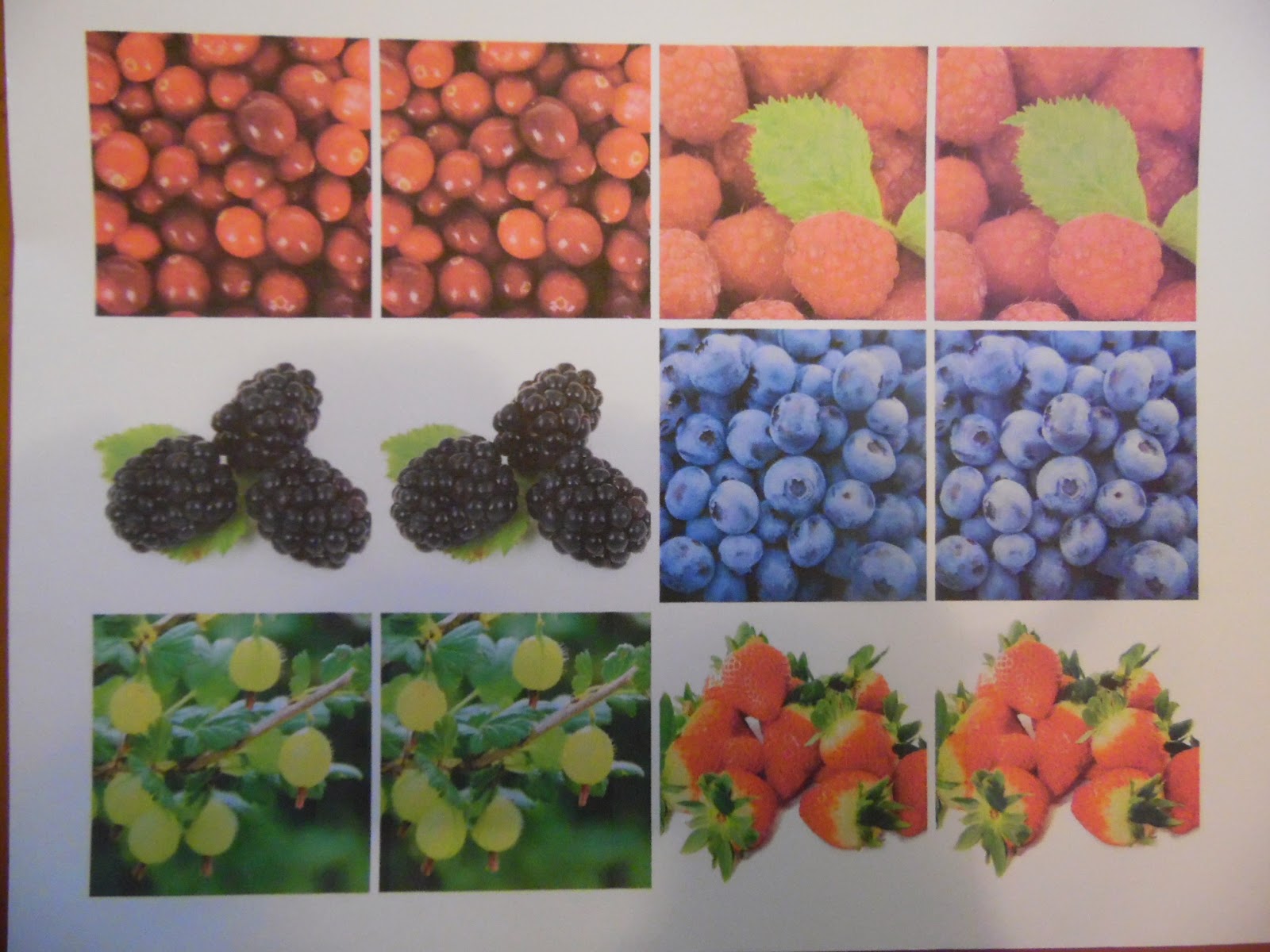 Tots and Me... Growing Up Together: Berry Berry Fun with the Poppins ...