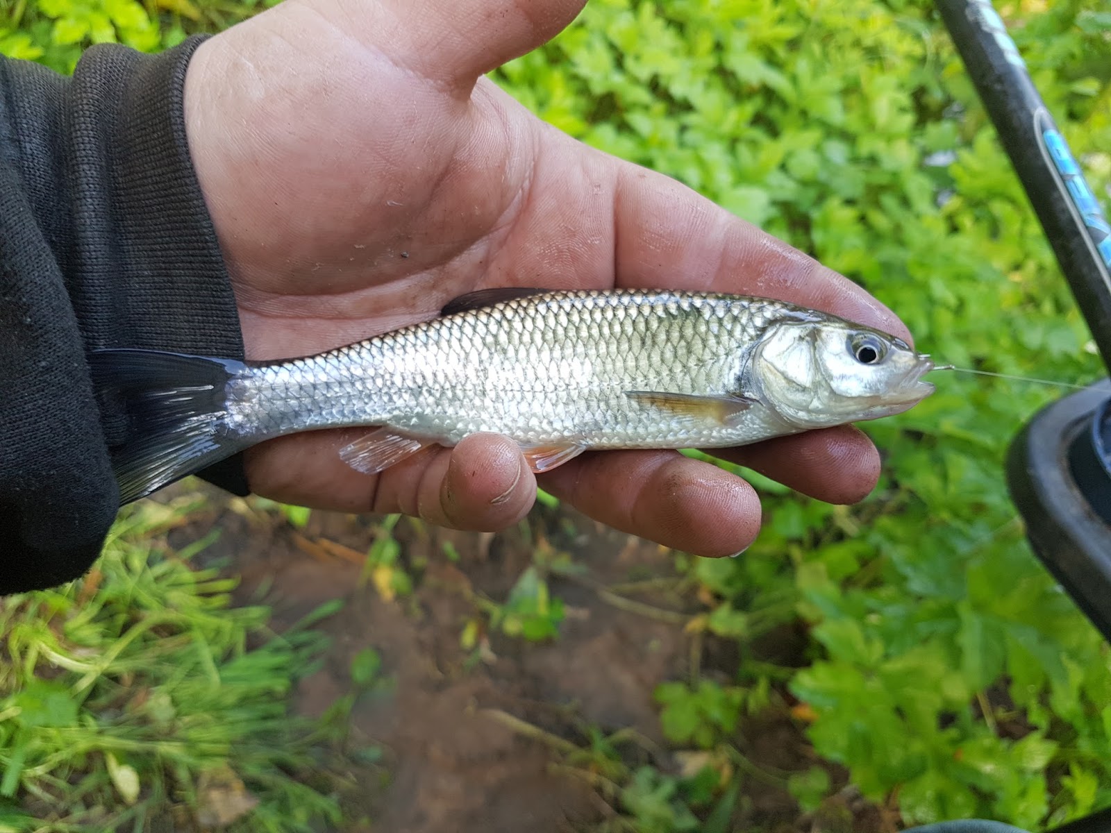 Danny's Angling Blog: July 2016