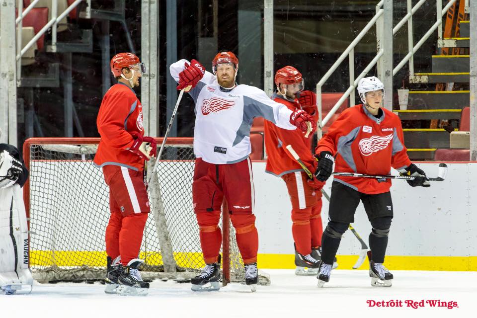 Red Wings Grinder: Main Training Camp 2015 - preview and rosters