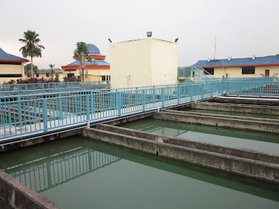 Toward Professional Engineer