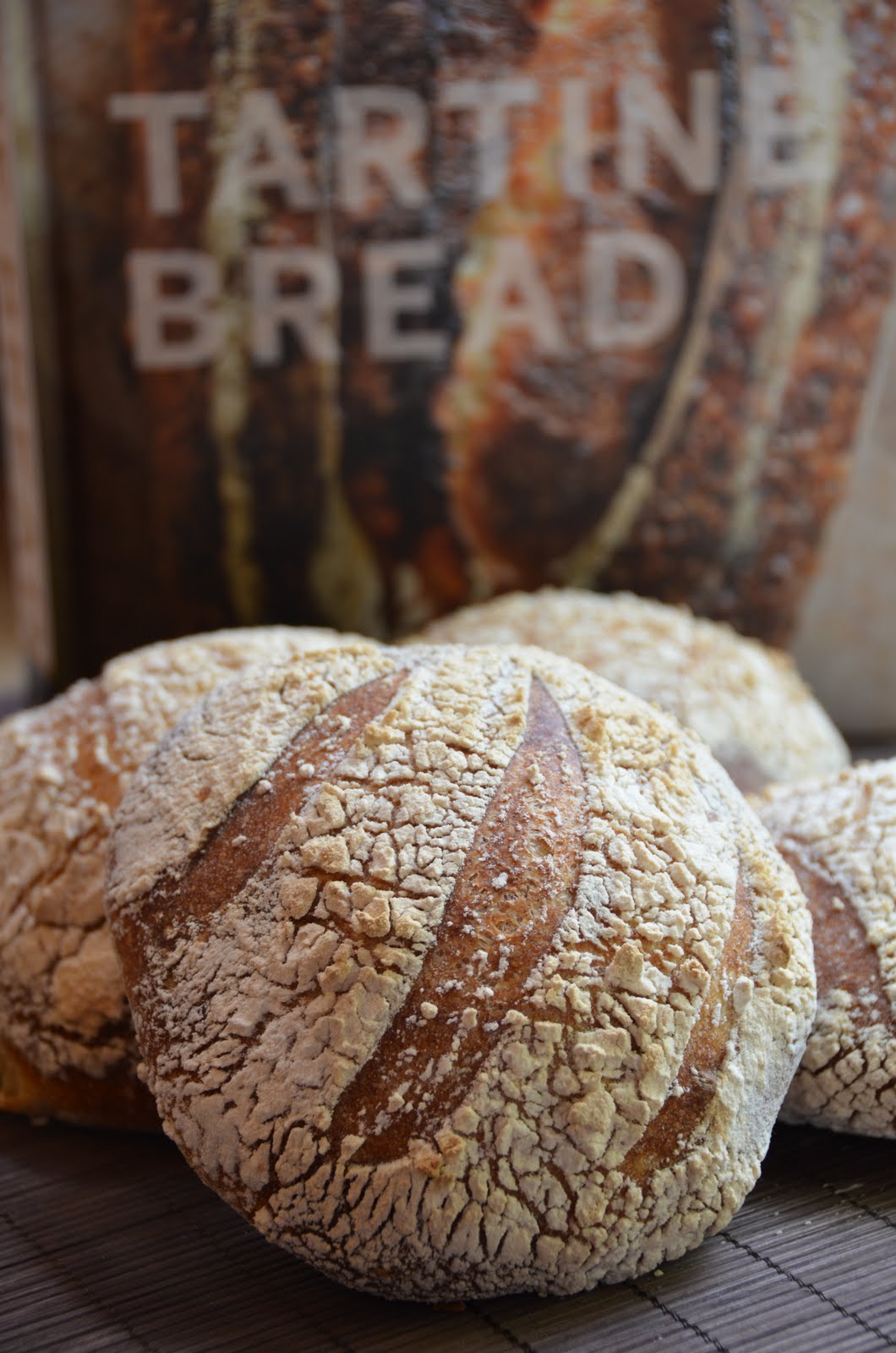 Tiramisu': Country Bread-Tartine Bread Review