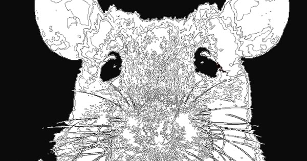 A propósito de literatura: La ratonera