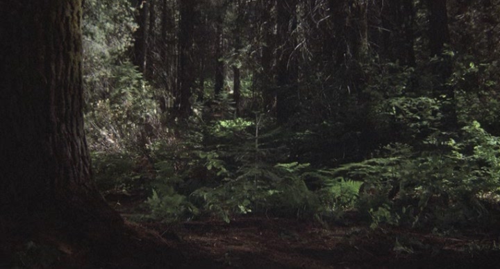 Udda film: BLOOD GAMES (1990) USA, 91 minuter. Regi: Tanya Rosenberg.