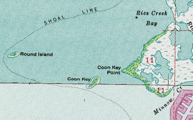 Report from the Florida Zone: Coon Key