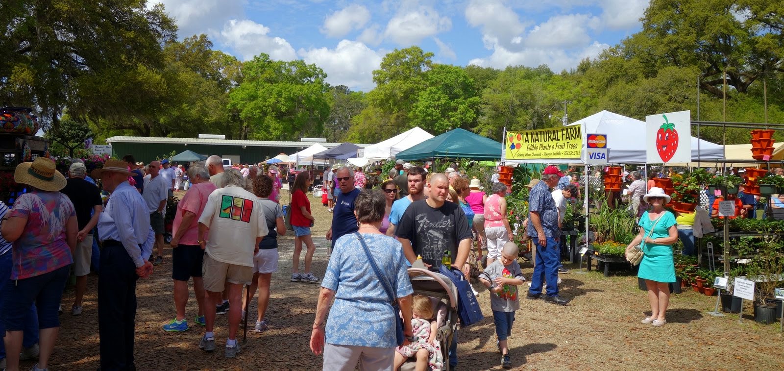 Rocky Top Ramblers: Marion County Master Gardeners' Spring Festival 2015