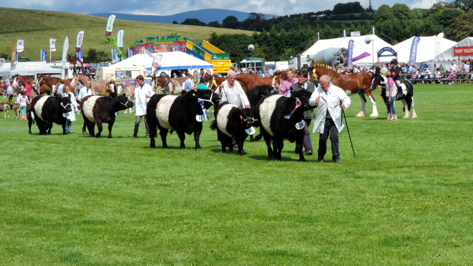 The Glebe Blog: Pictures from the Wigtown Show 2014