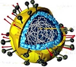 MATERI VIRUS KELAS X