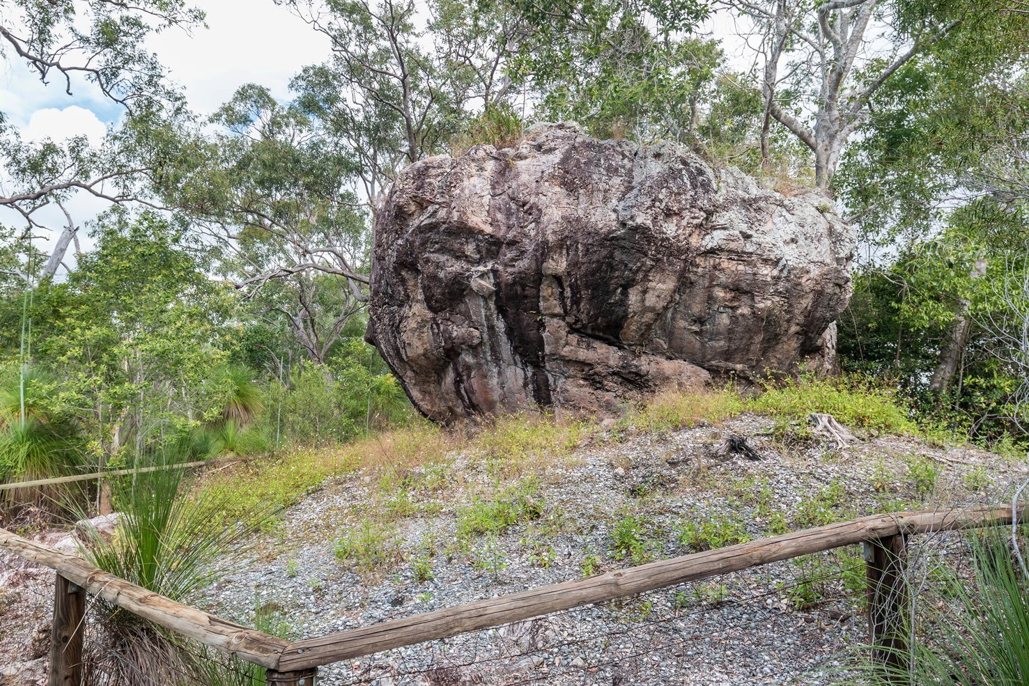 National Park Odyssey: Beachcomber Cove Walk and the Diversity ...