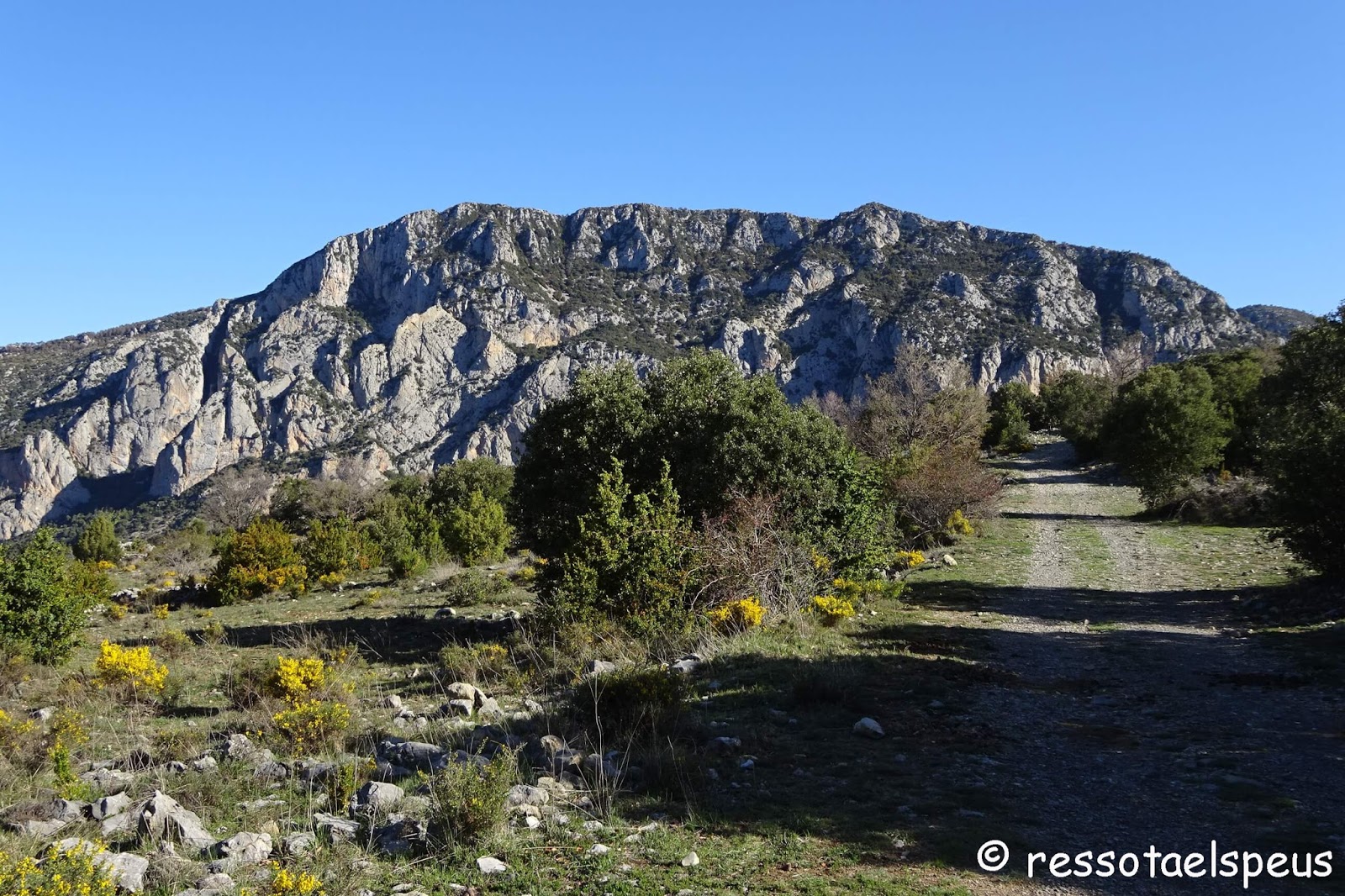 res sota els peus: Ruta circular al roc de Galliner, a la muntanya d'Alinyà