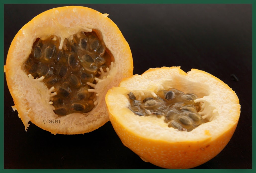 Granadilla