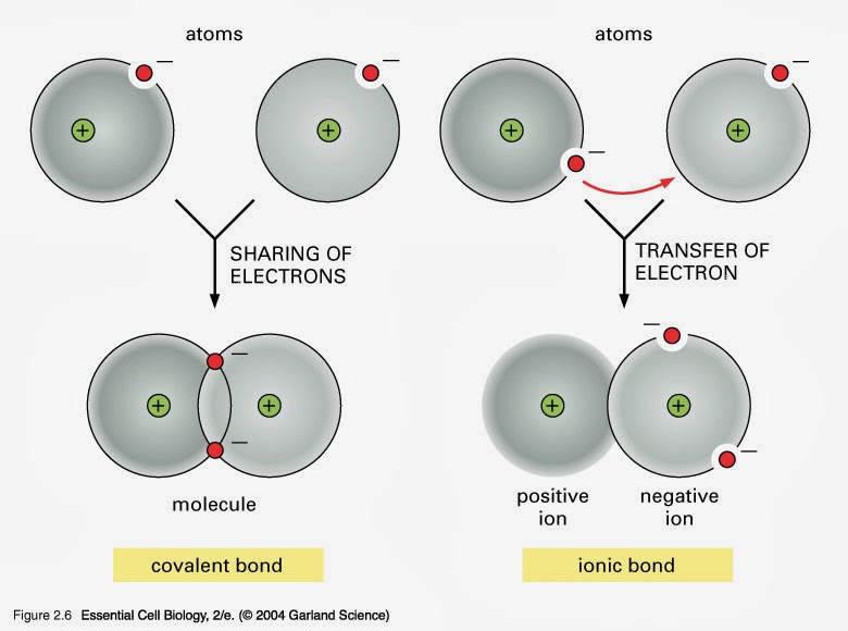 World of Biochemistry (blog about biochemistry): Ionic bond