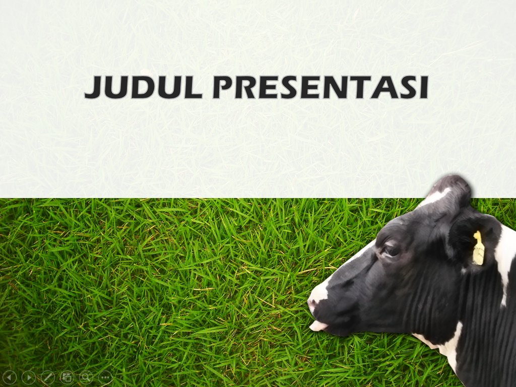 Tema PPT: Dairy Cattle