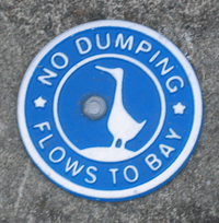 BIRDLAND EDITORIAL BLOG: BIRDLAND EDITORIAL BLOG / 3.1415926653