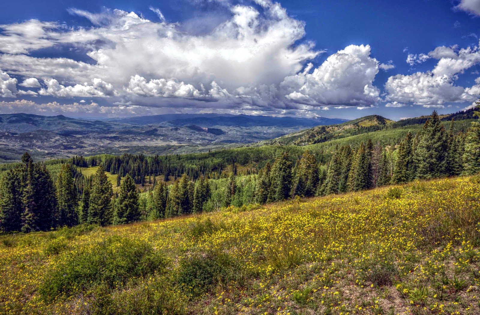 Colorado Wilderness - Hiking and Camping in the Backcountry: September 2014