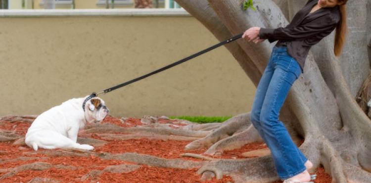 Cuidados Visuales con Cinthya Armijo de López: LAS CARIÑITOS QUE NO LES ...