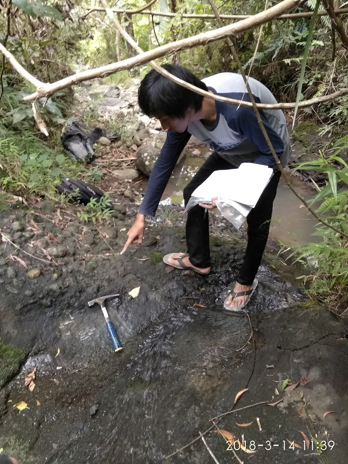 Belajar Batubara: Laporaan Geologi Desa Kaligending dan Plumbon Kelompok 2