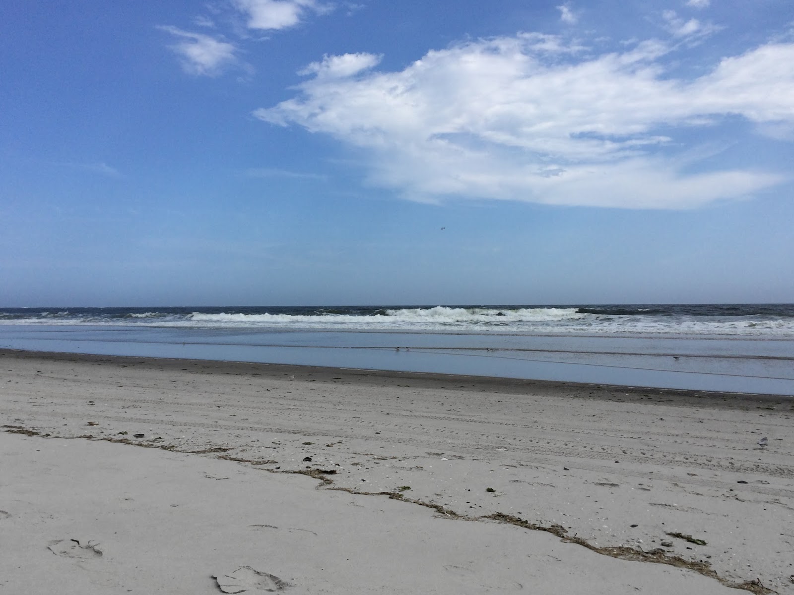 Gone To The Beach: June ~ Beach Roses