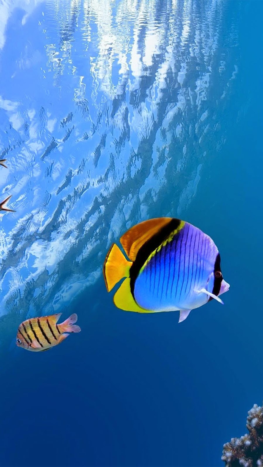 Fondo android pack 125