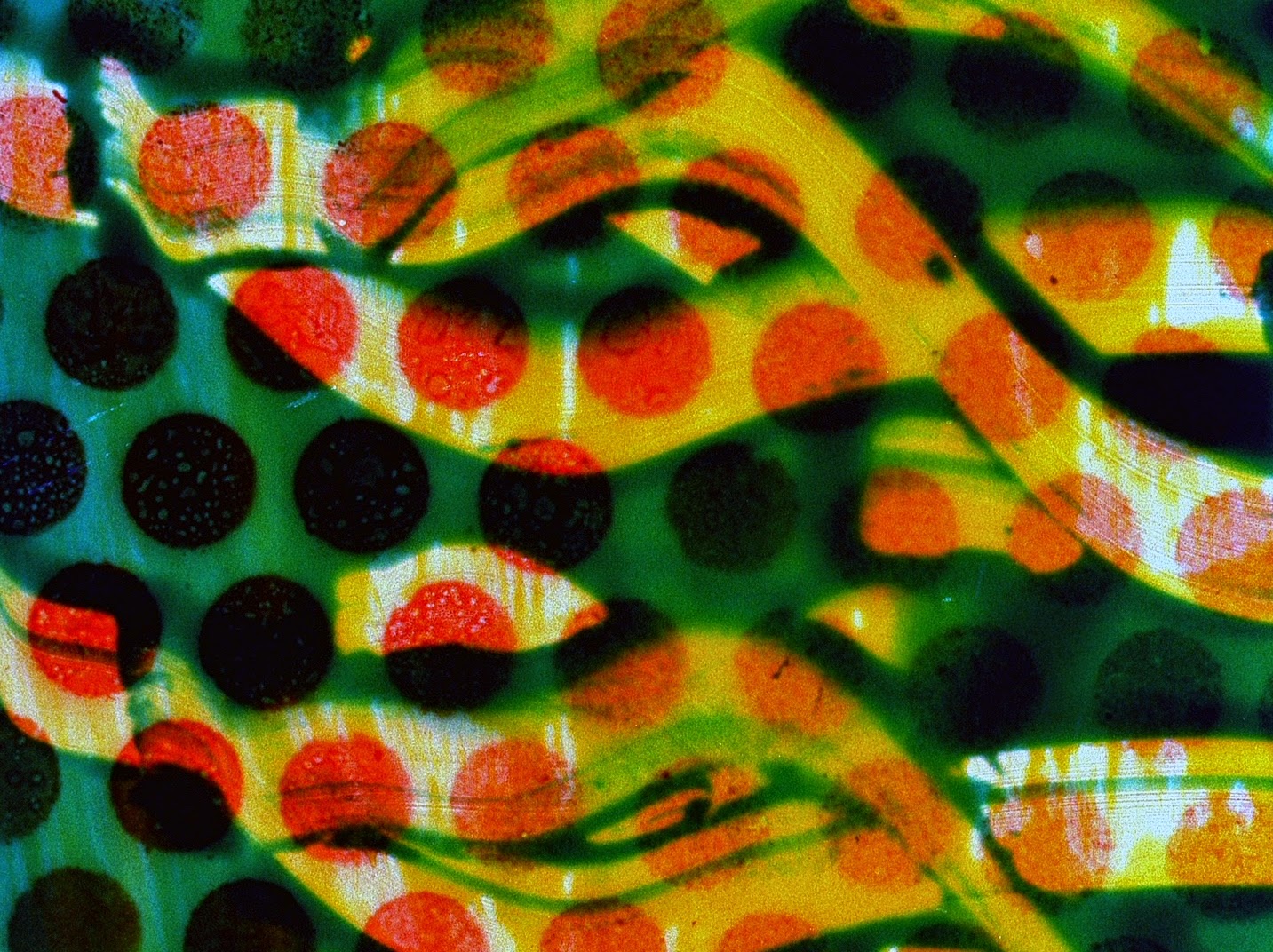 CINESCOPIE: HISTOIRE - Animation - Le cinéma sans caméra