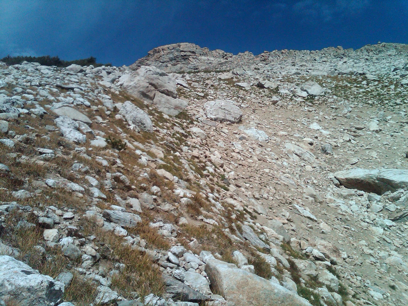 Grand Teton Peaks: Disappointment Peak, East Cliff Bands