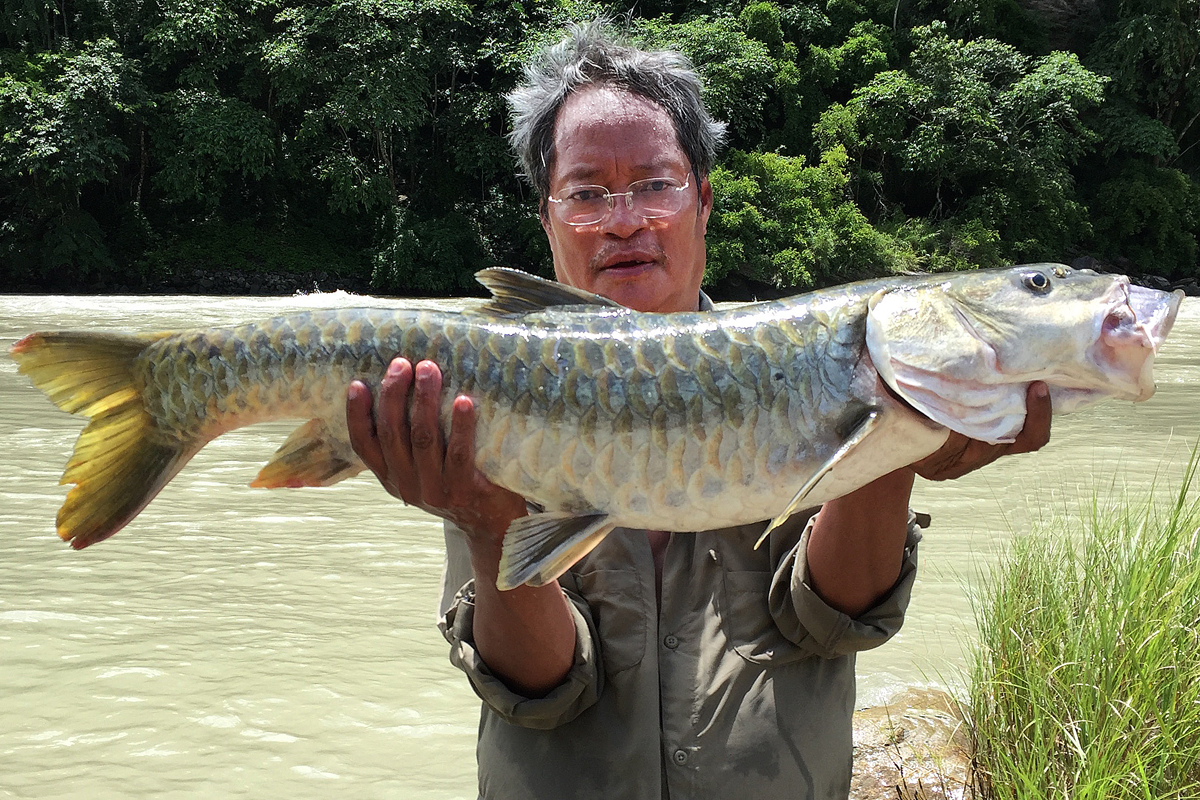 Bhutan Land Of The Thunder Dragon: Chasing the Mighty Golden Mahseer