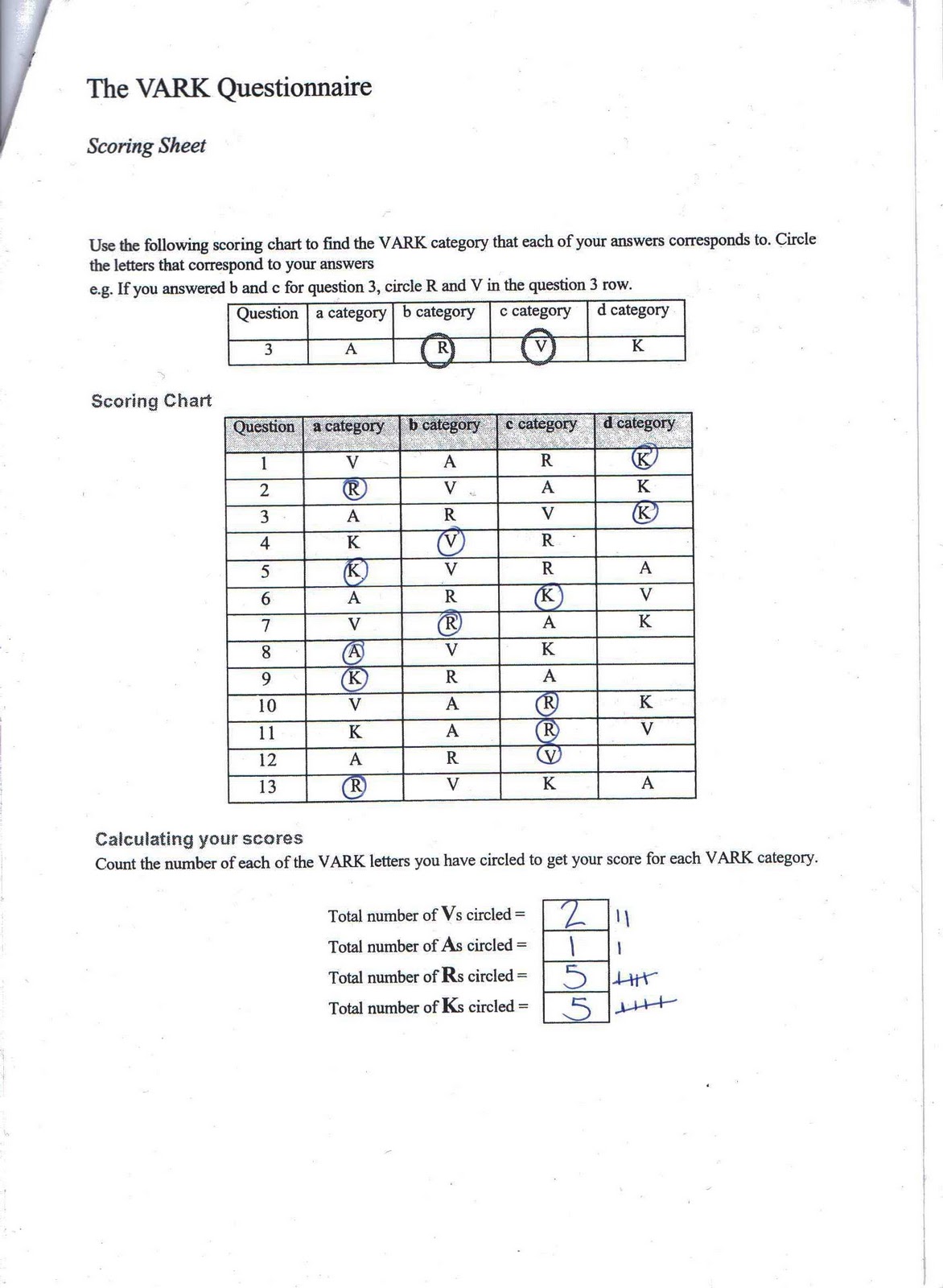 PDP Project: V.A.R.K. Questionnaire