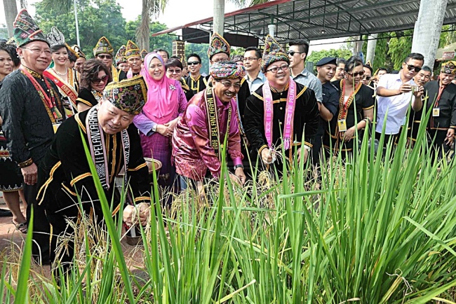 Kadazan-Dusun : Pesta Ka'amatan - Sabah's Very Own Harvest Festival