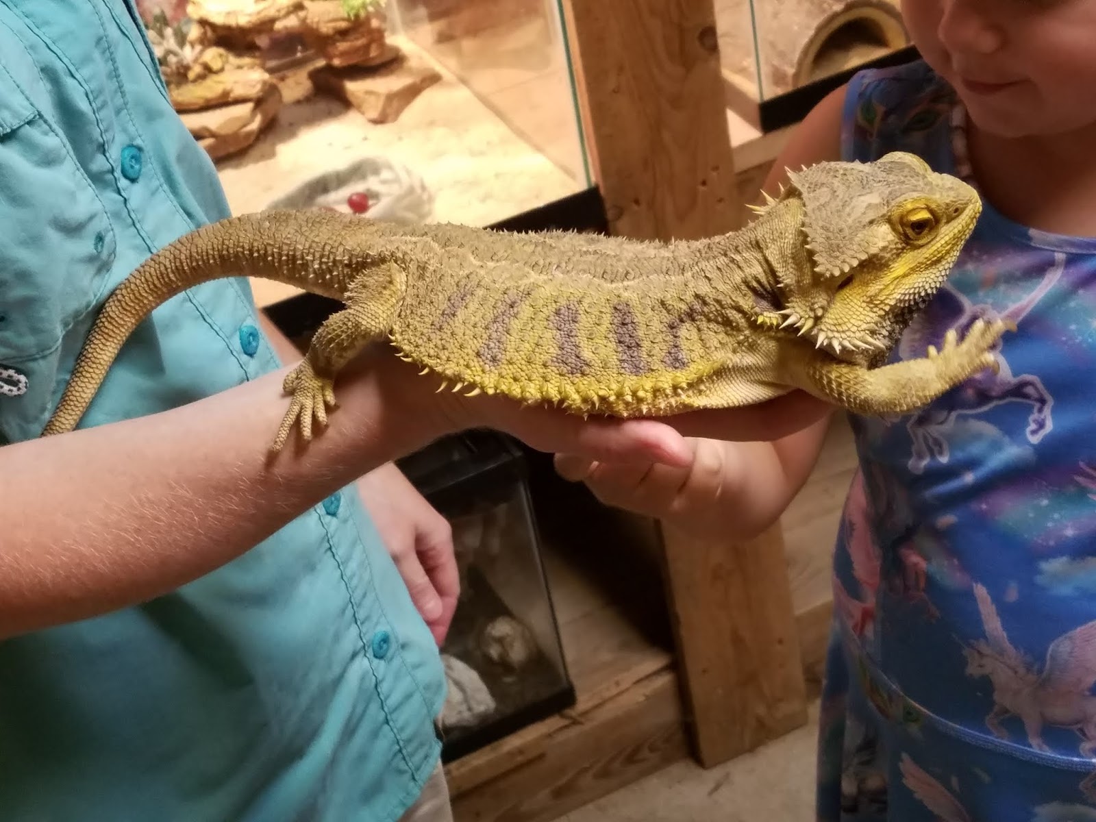 Living Our Bucket List Life: Farmington: Nemacolin Woodlands Zoo ...